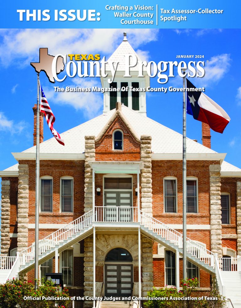 CDCAT Annual Conference - Texas County Progress